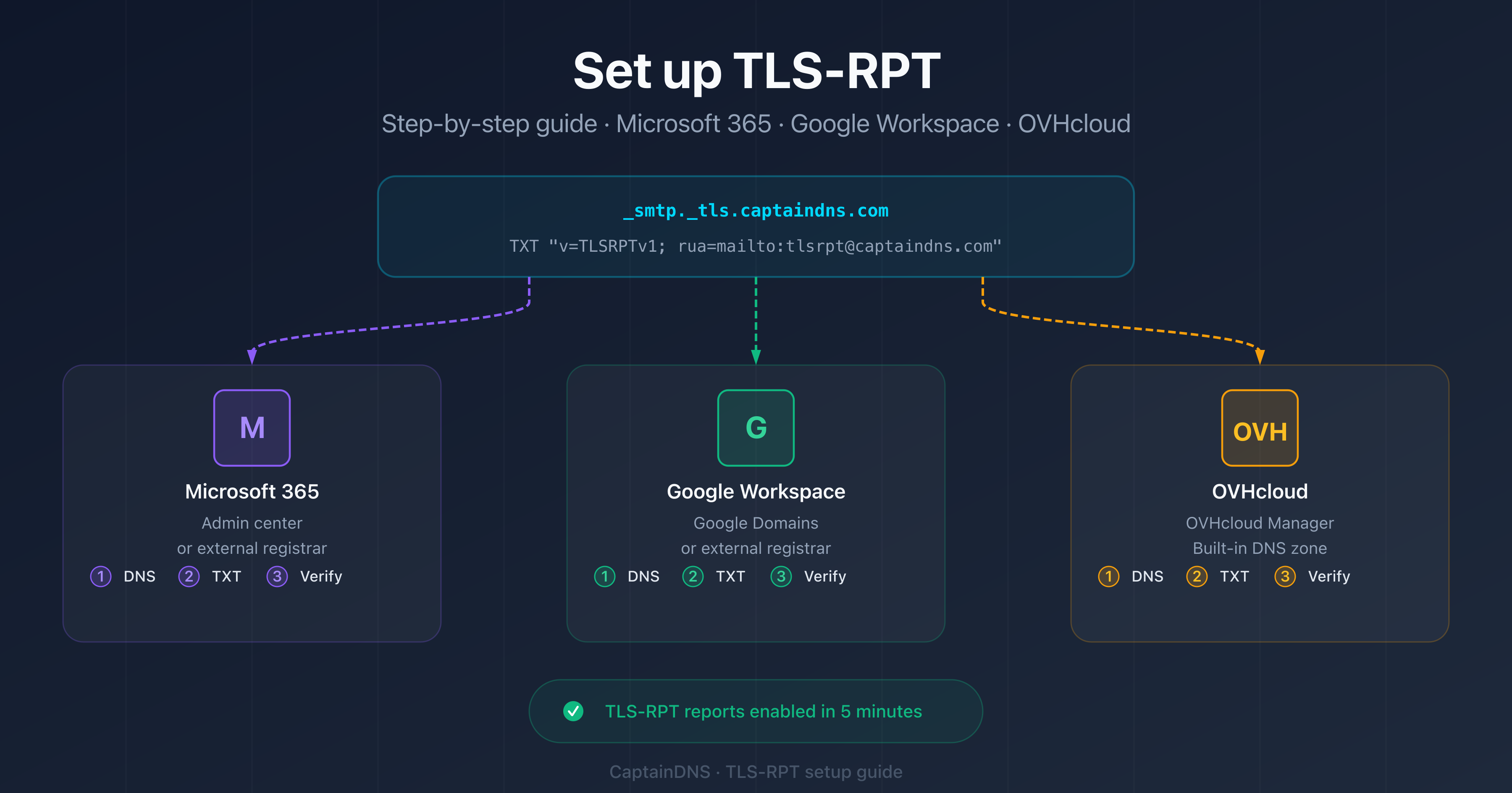 Set up TLS-RPT: guide for Microsoft 365, Google, OVH